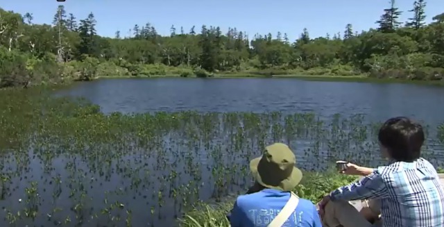 Dosanko Cooking | Japan Program Catalog